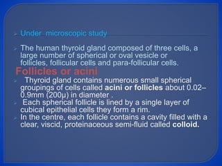 Thyroid gland | PPTX