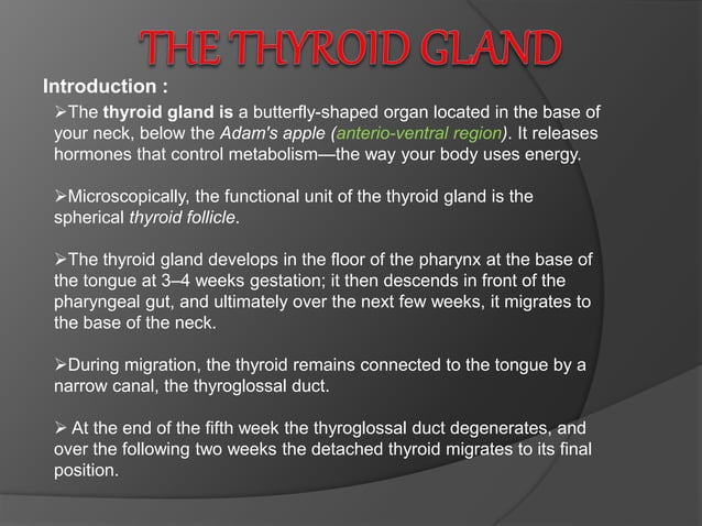 Thyroid gland | PPT