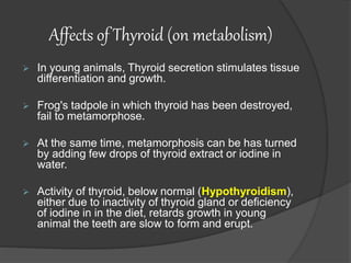 Thyroid gland | PPTX