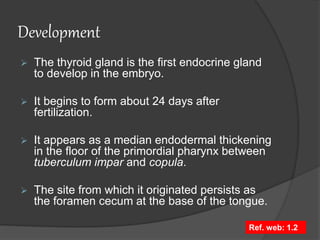 Thyroid gland | PPTX