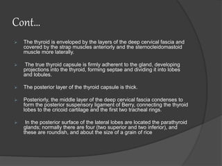 Thyroid gland | PPTX