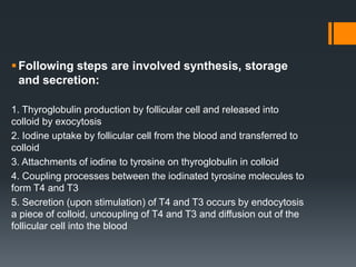 Thyroid gland by ismail surchi | PPT
