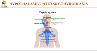 THYROID GLAND | PPTX