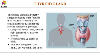 THYROID GLAND | PPTX