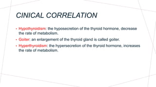 thyroid gland.pptx
