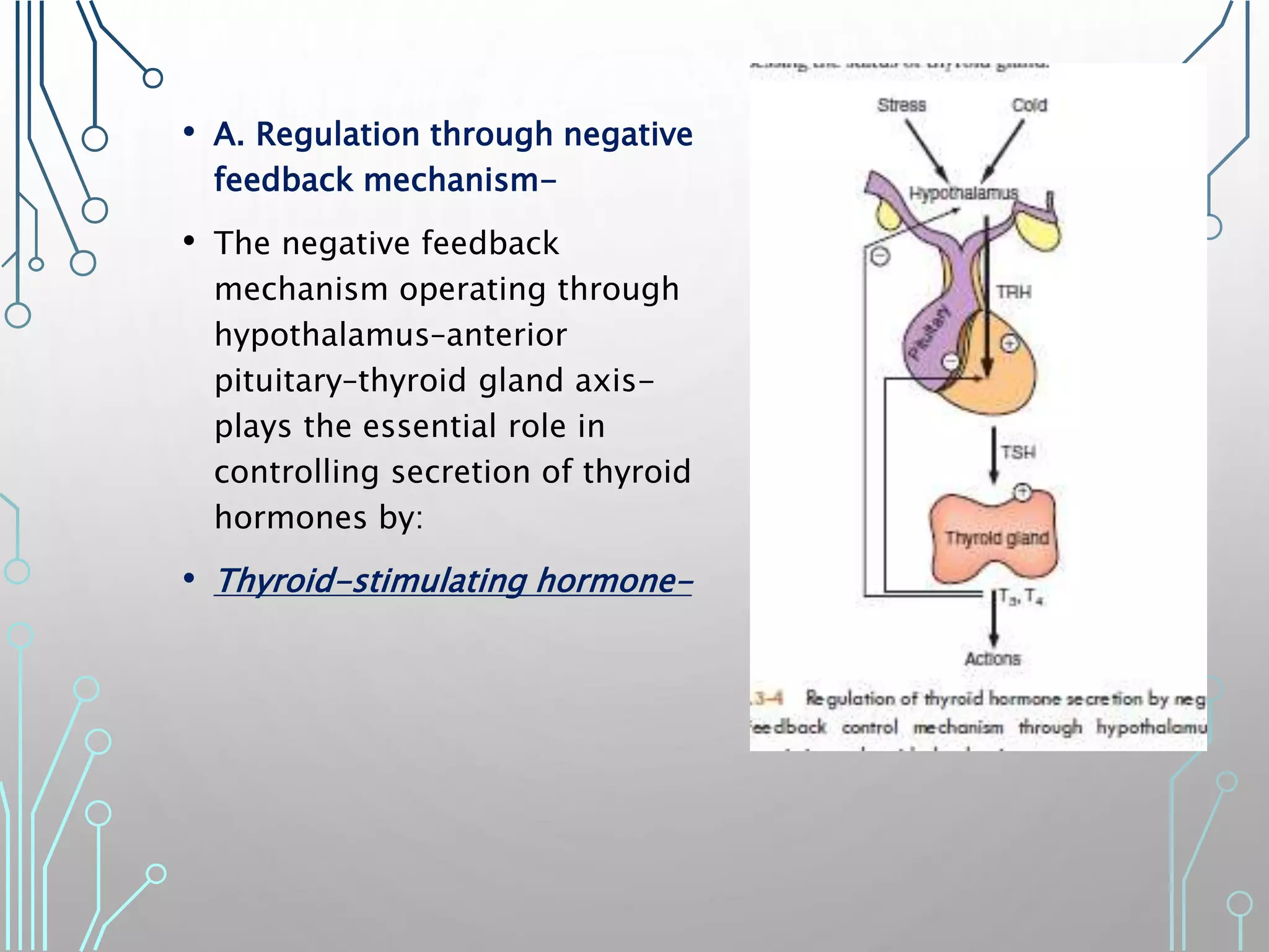 Thyroid Gland.pptx