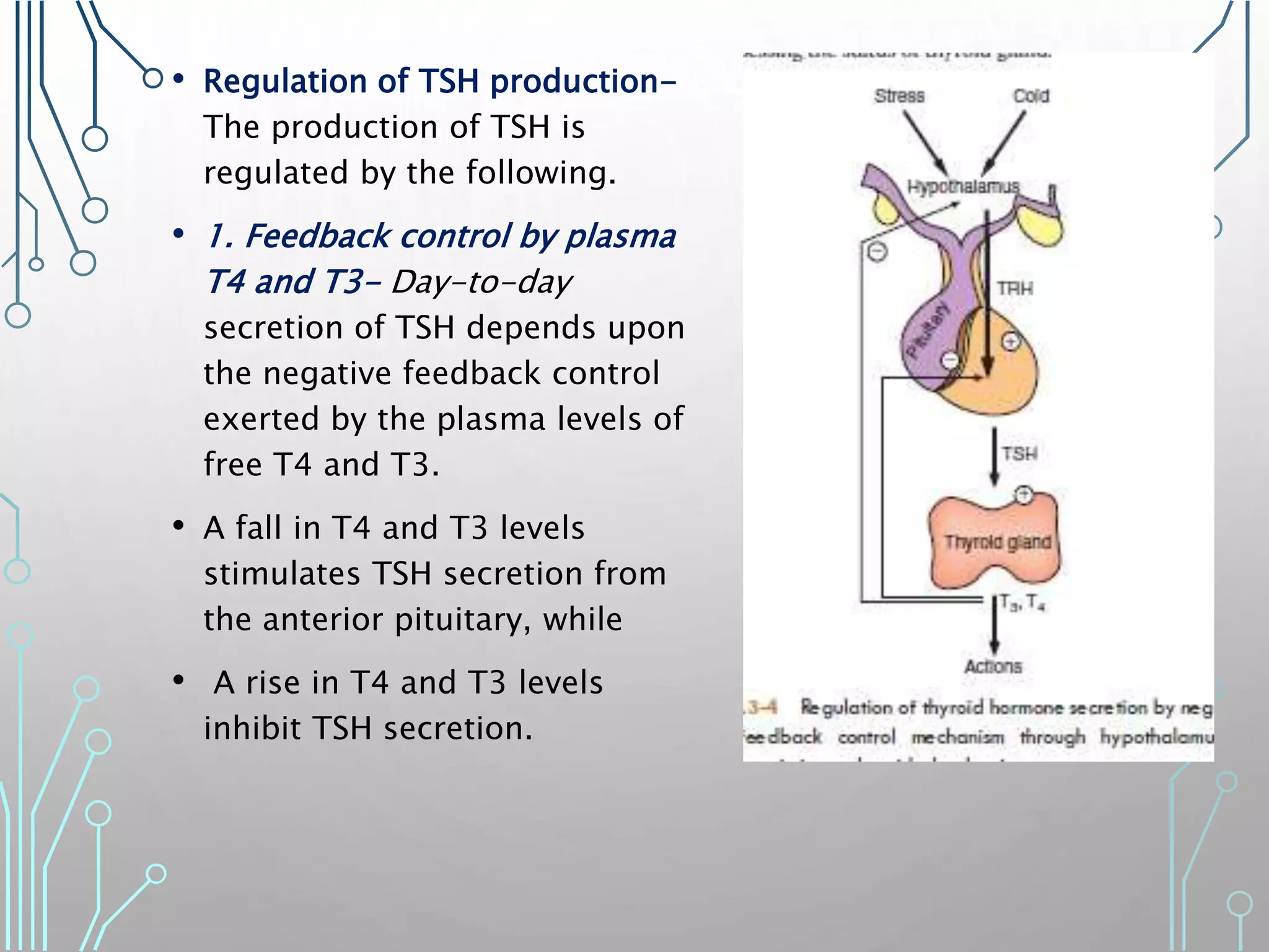 Thyroid Gland.pptx