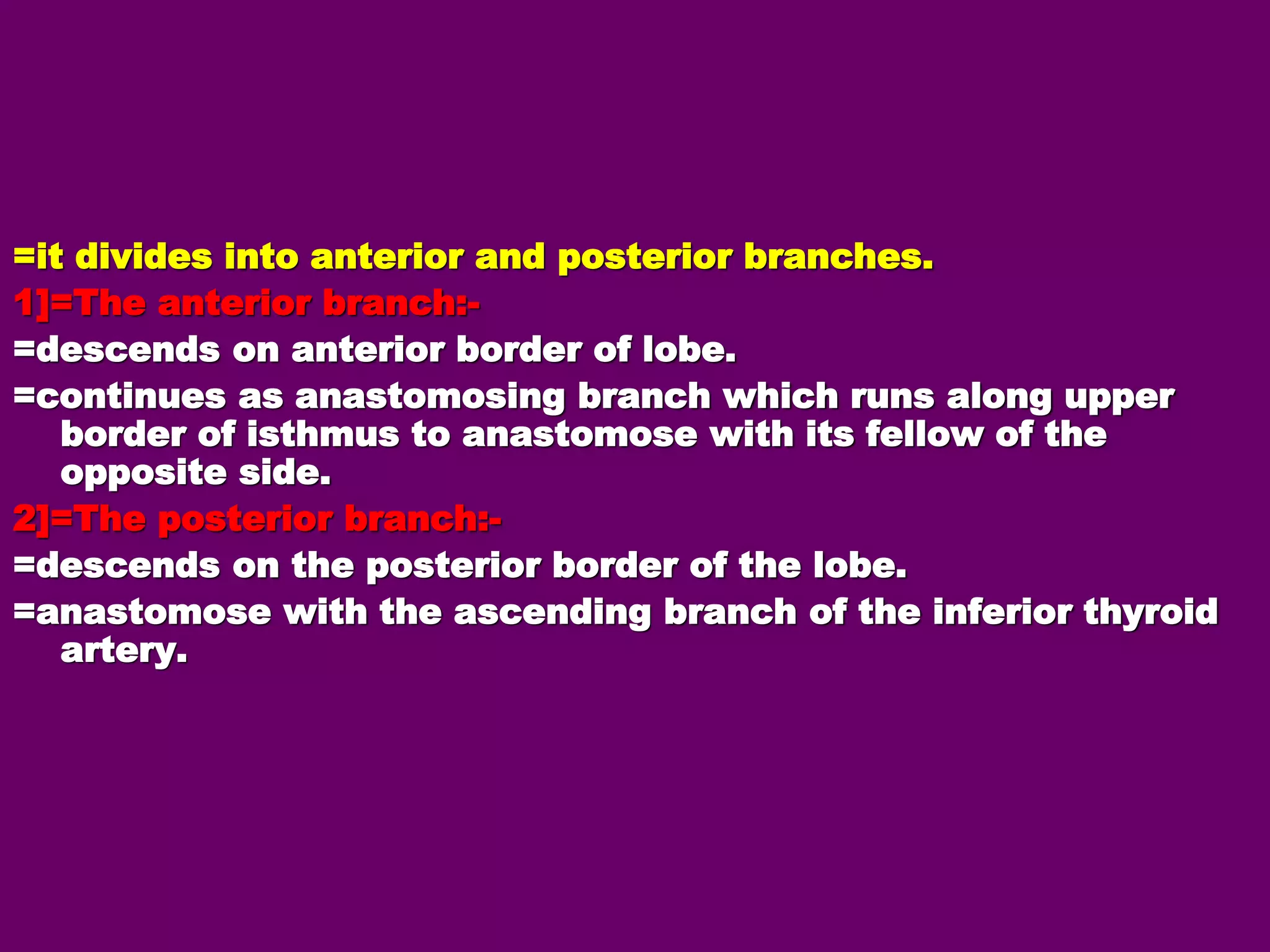 THYROID GLAND.ppt