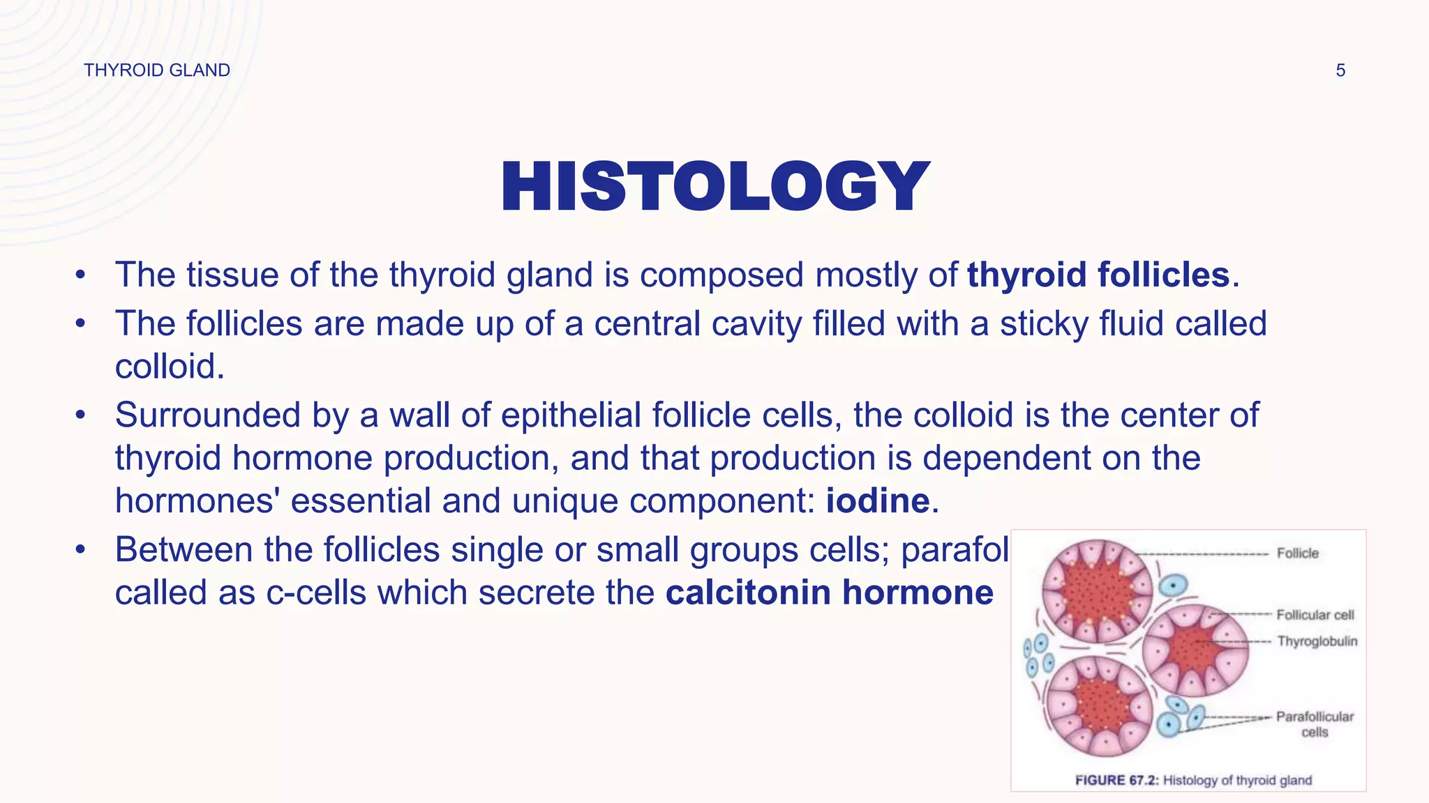 THYROID GLAND.pptx