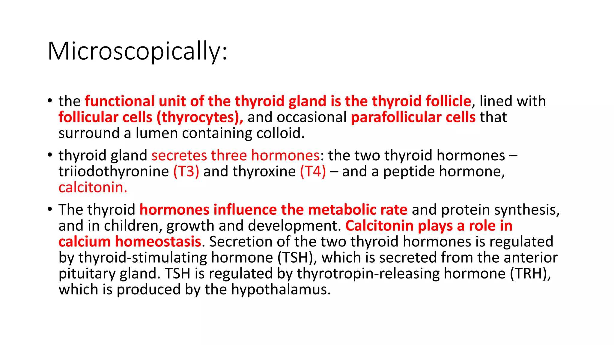 thyroid gland.pptx