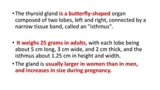 thyroid gland.pptx