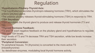 Thyroid gland biochemistry mbbs 2nd year .pptx