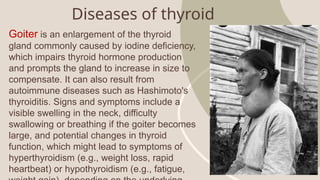 Thyroid gland biochemistry mbbs 2nd year .pptx
