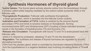 Thyroid gland biochemistry mbbs 2nd year .pptx