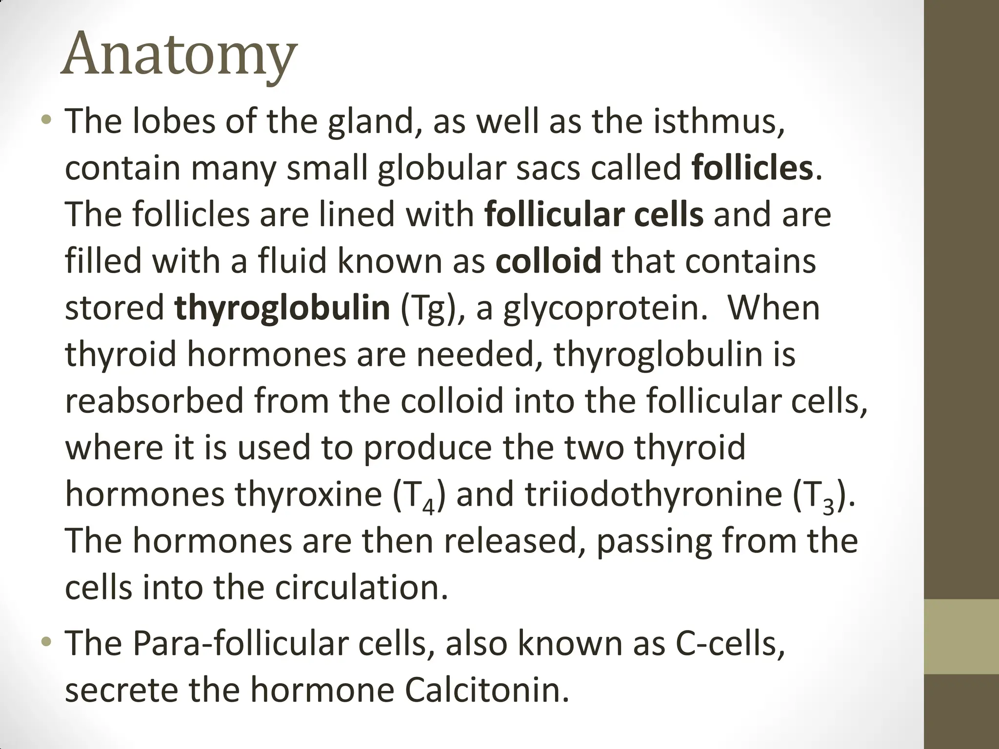 Thyroid Gland (Anatomy, Hormones, Disorders).pdf