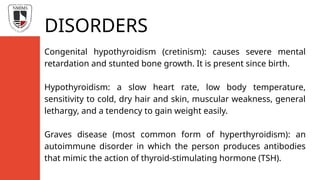Thyroid Gland pharmacy semester 2 anatomy .pptx