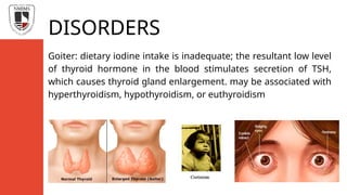 Thyroid Gland pharmacy semester 2 anatomy .pptx