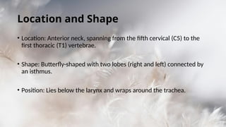 Thyroid Gland Presentation For 2nd Year MBBS Students | PPTX
