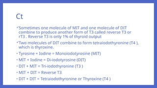 Thyroid gland.pptx class notes for endocrine physiology | PPTX