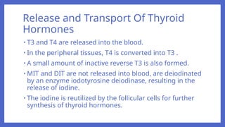 Thyroid gland.pptx class notes for endocrine physiology | PPTX
