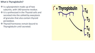Thyroid Gland | PPT