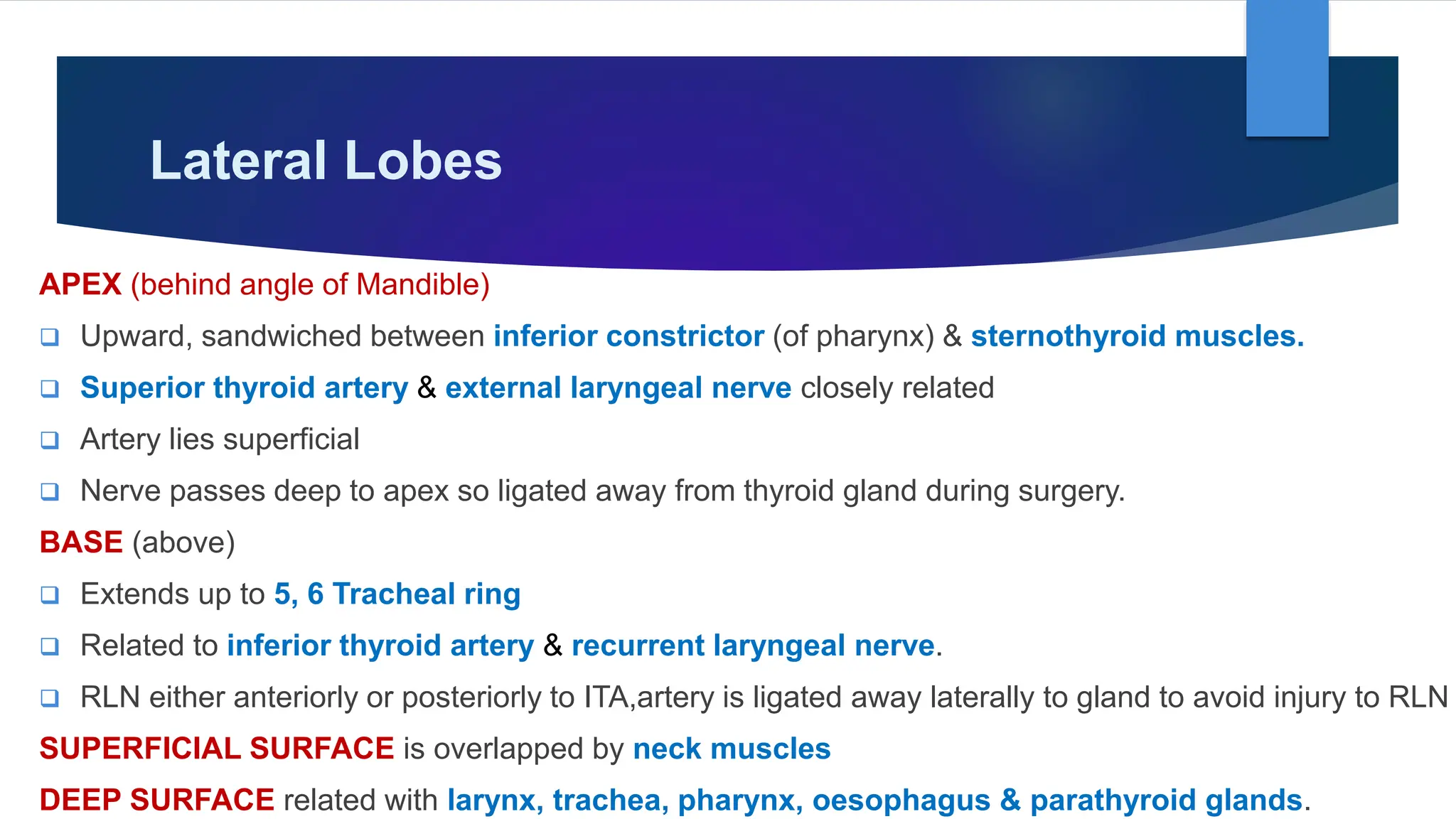 Thyroid Gland- Gross Anatomy by Dr. Rabia Inam Gandapore.pptx