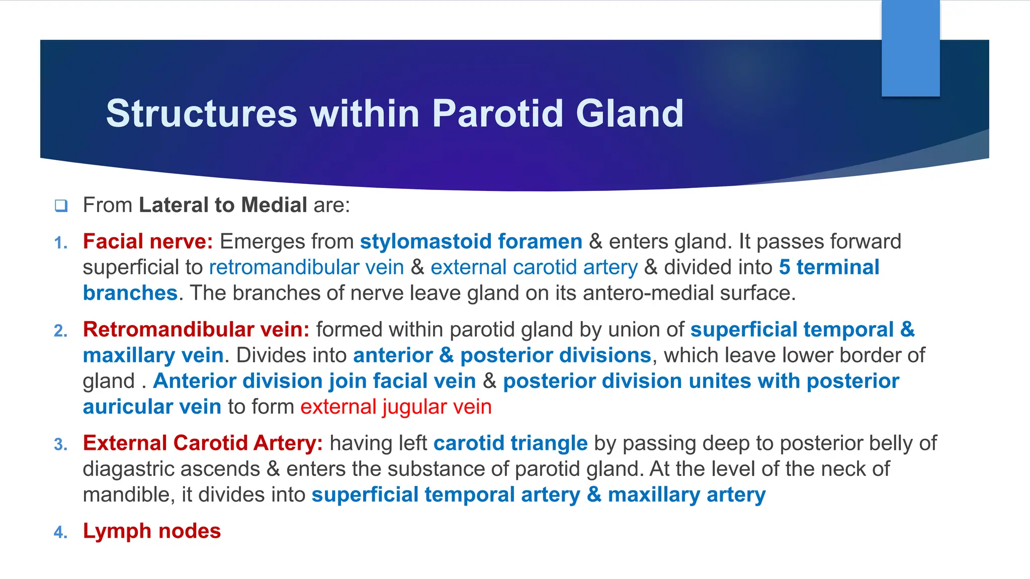Thyroid Gland- Gross Anatomy by Dr. Rabia Inam Gandapore.pptx