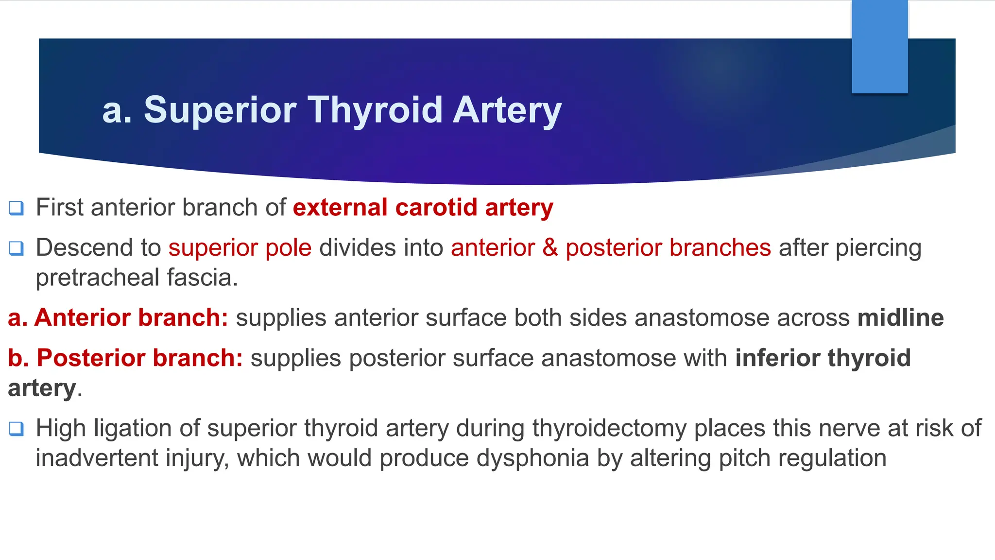Thyroid Gland- Gross Anatomy by Dr. Rabia Inam Gandapore.pptx