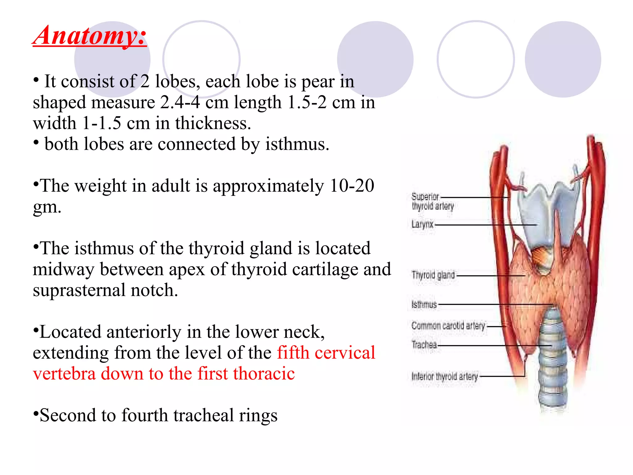Thyroid gland1 | PPT