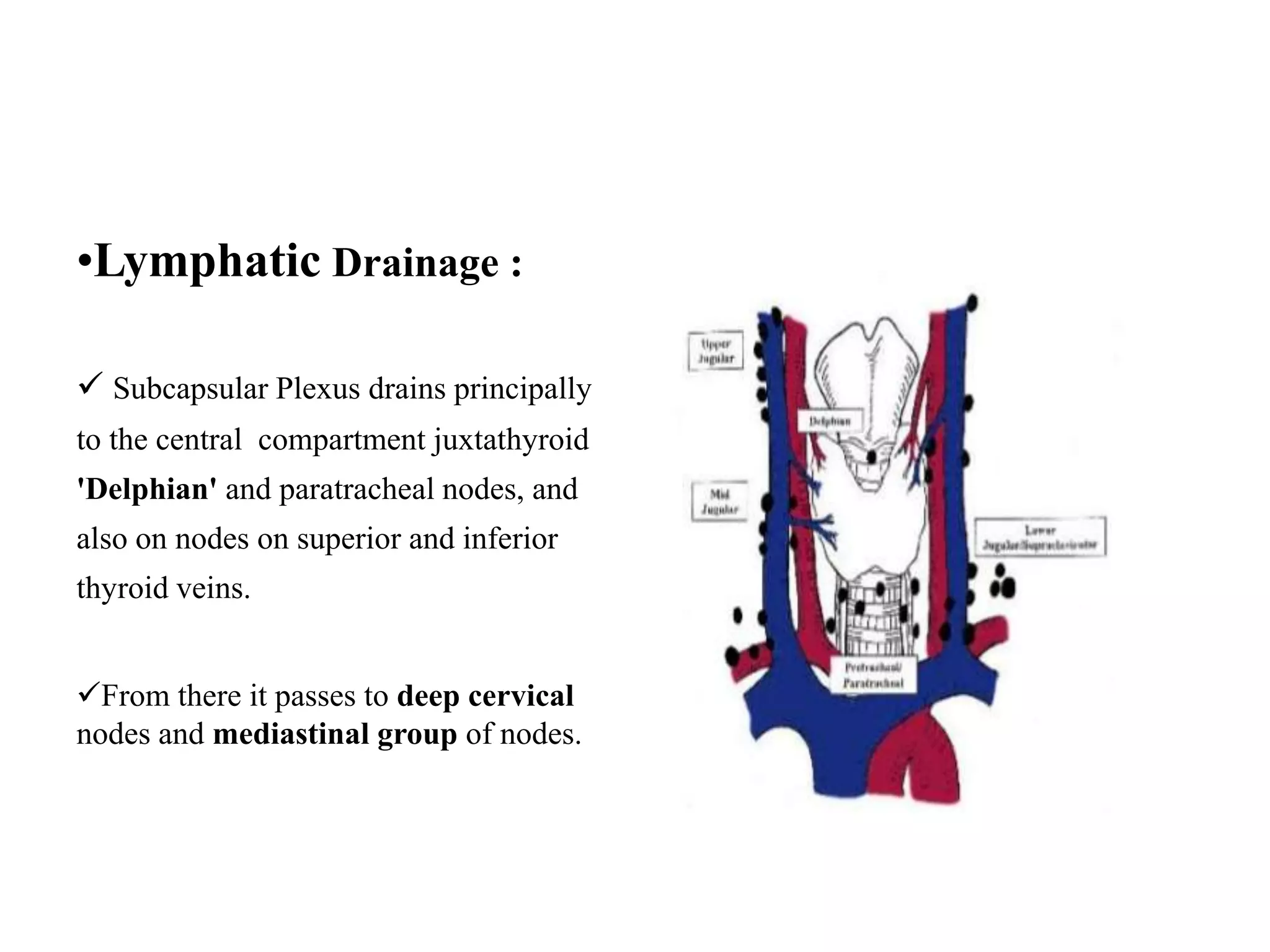 Thyroid gland123 | PPTX
