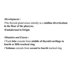 Thyroid gland123 | PPTX
