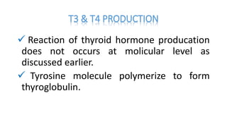Thyroid Gland (Human): Anatomy, Function & Hormone Production | PPTX
