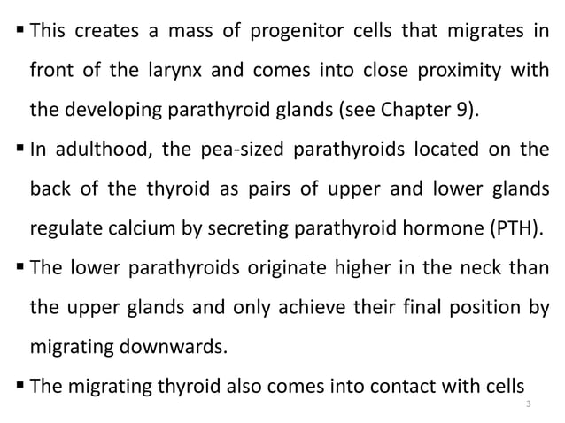 Thyroid Gland_Embryology, Anatomy, 17_8_2020.pptx