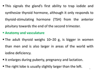Thyroid Gland_Embryology, Anatomy, 17_8_2020.pptx
