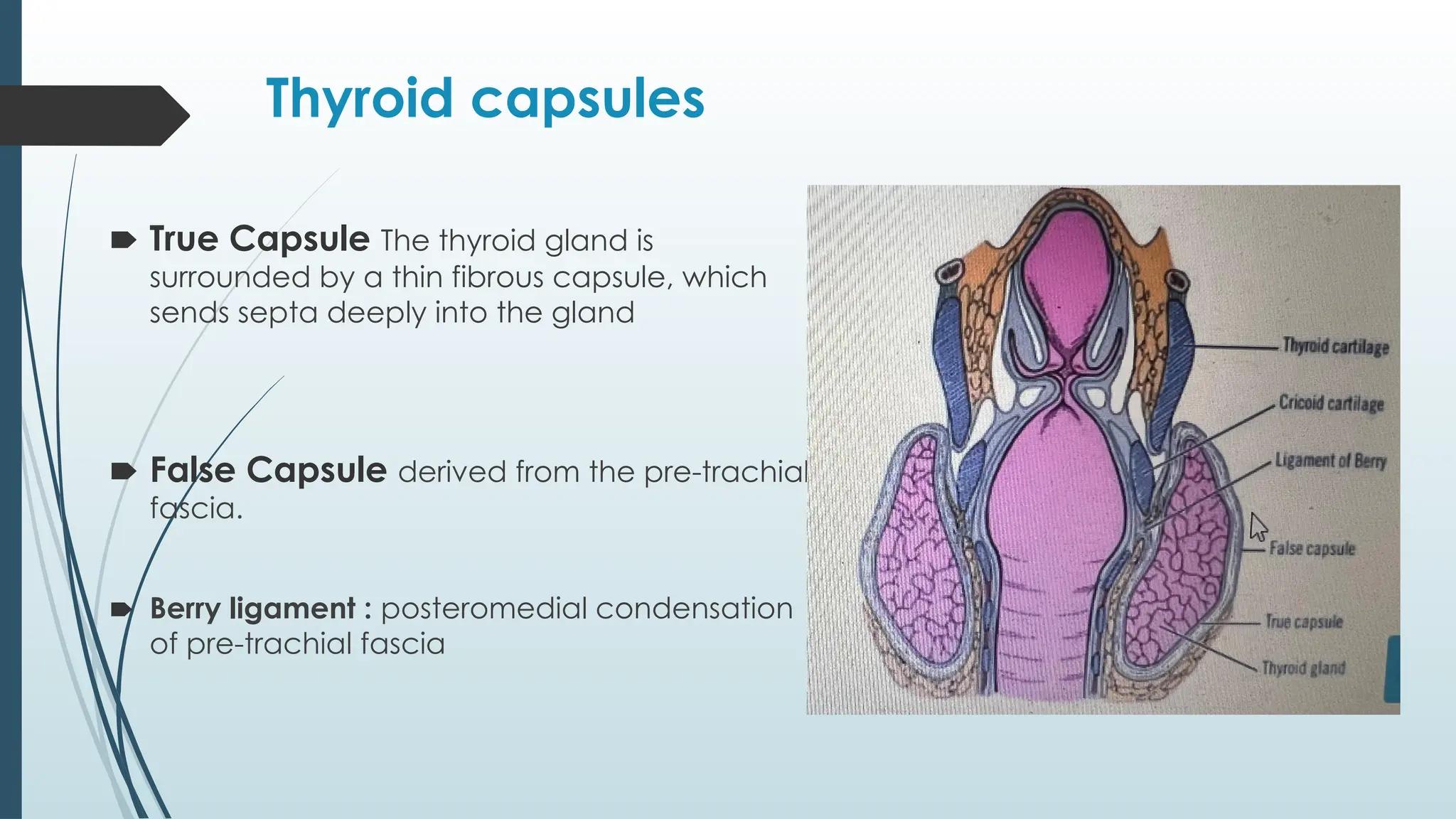 thyroid gland 6 year final 2024.ppt ddx | PPTX