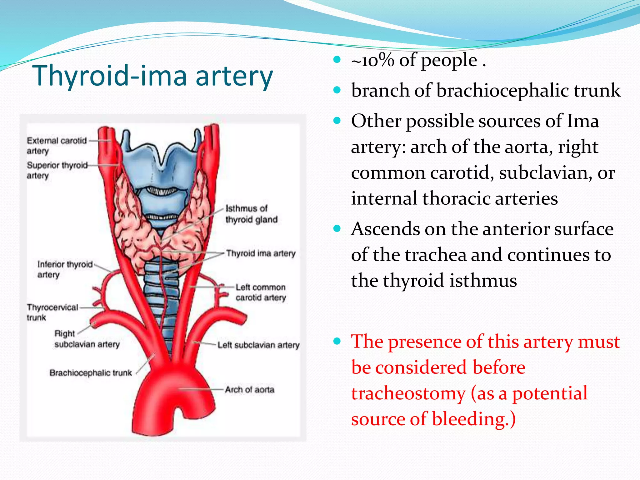 Thyroid gland – an anatomical overview.pptx