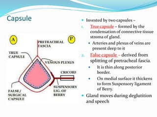 Thyroid gland – an anatomical overview.pptx