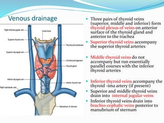 Thyroid gland – an anatomical overview.pptx