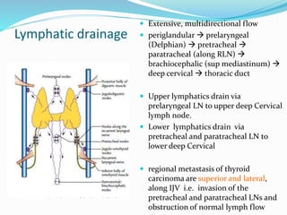 Thyroid gland – an anatomical overview.pptx