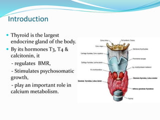Thyroid gland – an anatomical overview.pptx