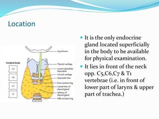 Thyroid gland – an anatomical overview.pptx