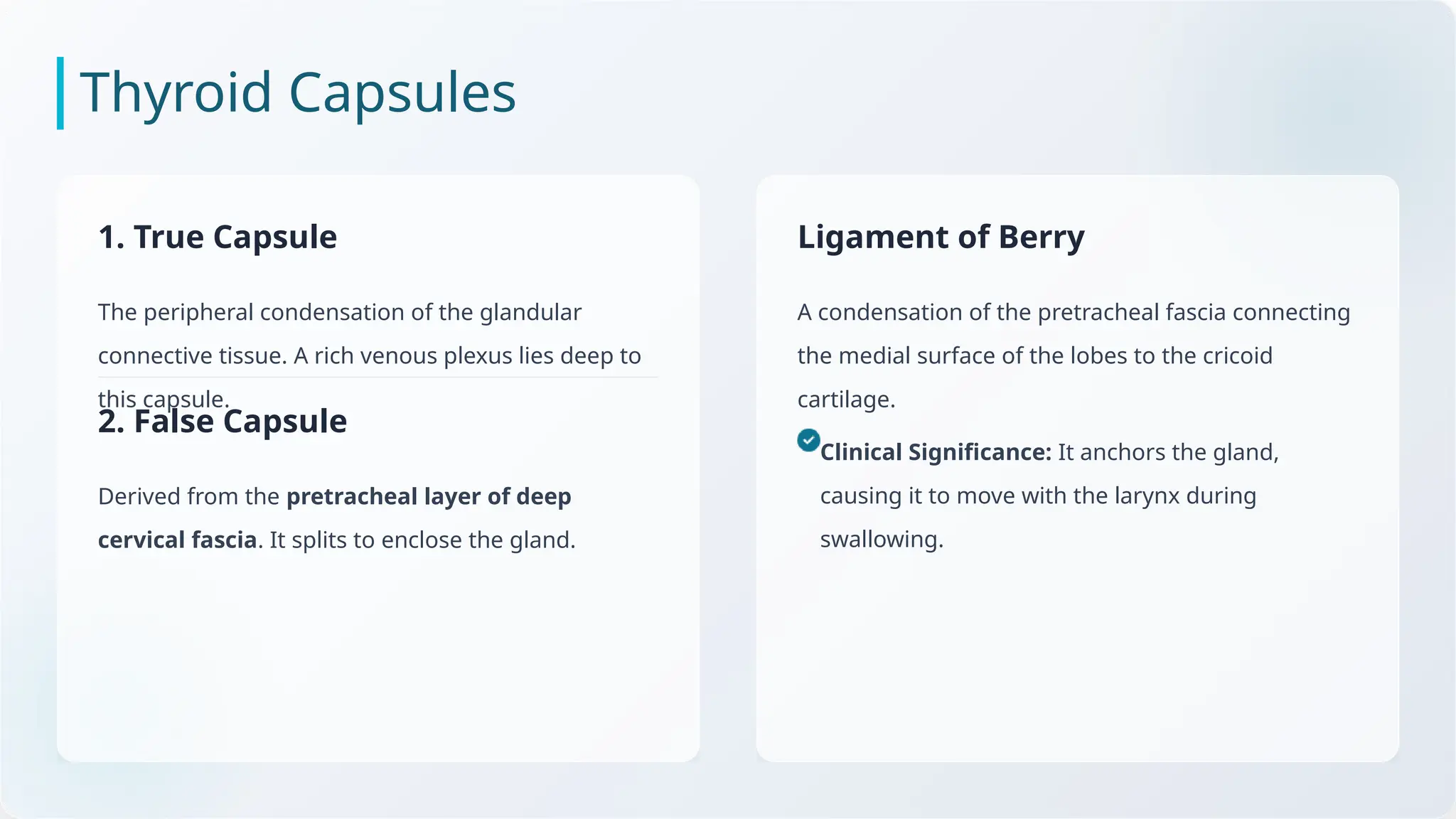 Thyroid Gland Anatomy - Modern Design (1).pptx