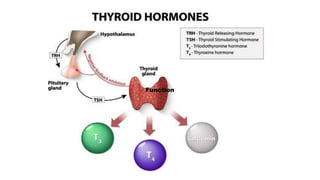 Thyroid gland anatomy part1 | PPT