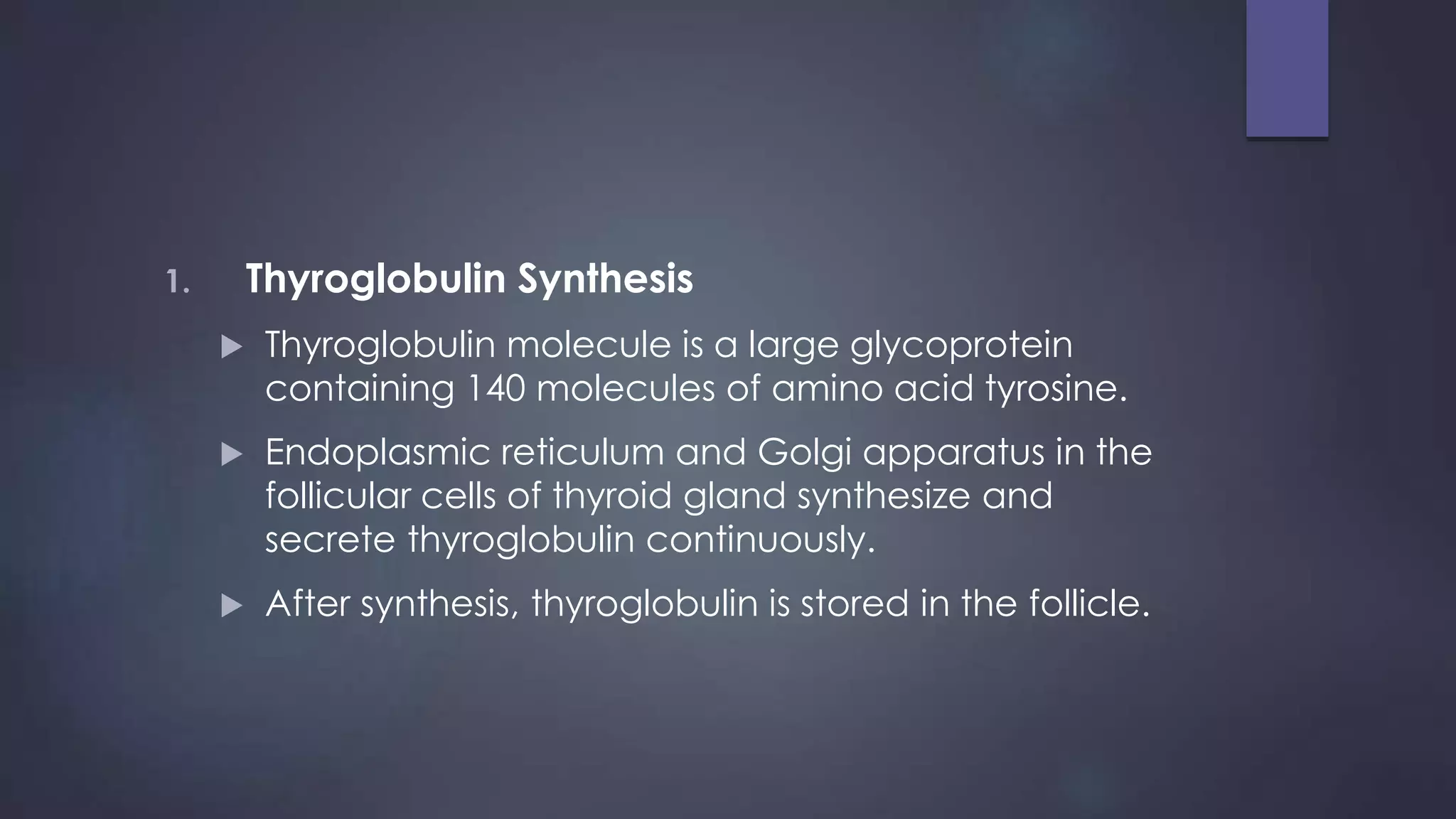 Thyroid gland (anatomy & synthesis) | PPTX