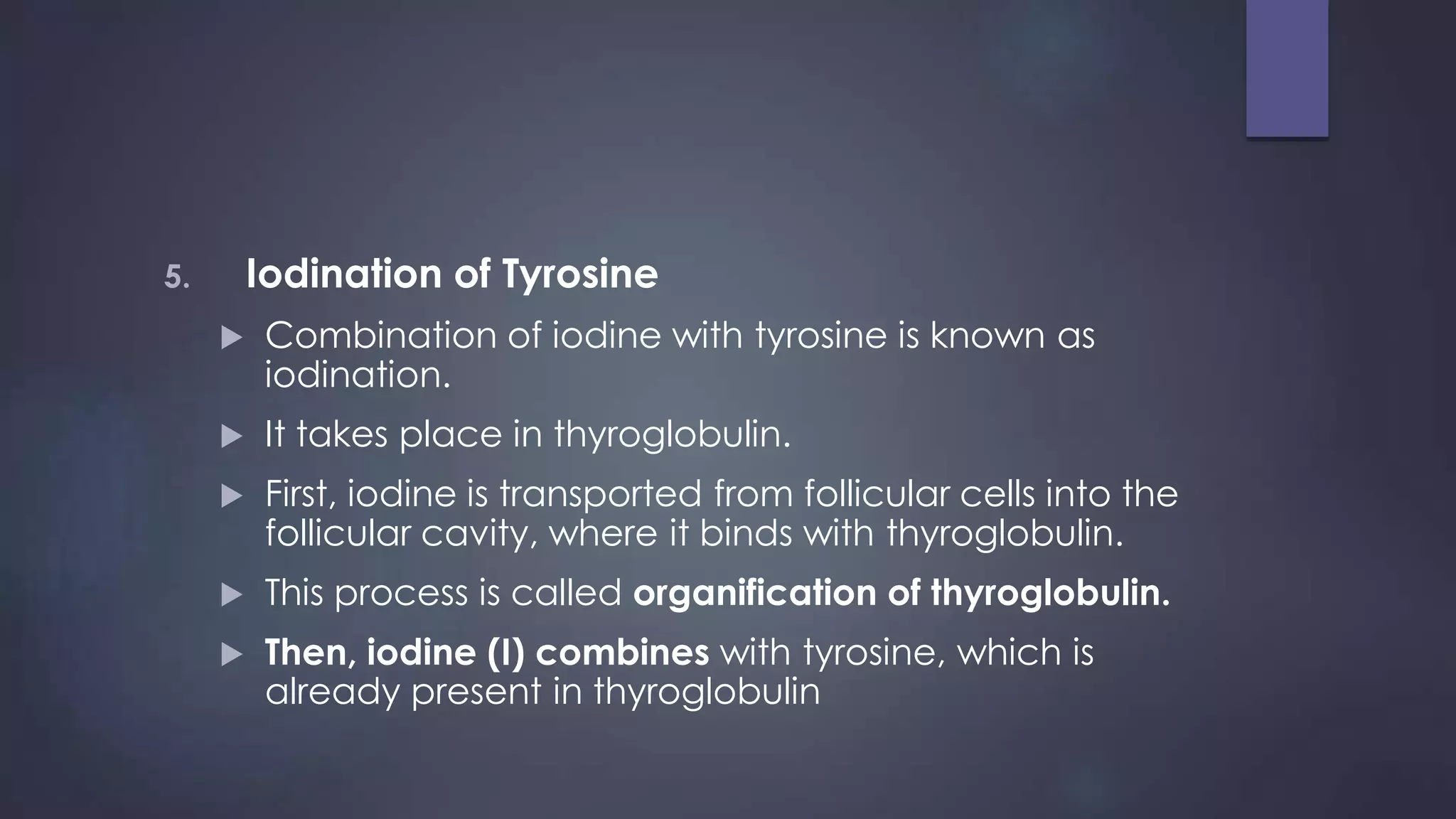 Thyroid gland (anatomy & synthesis) | PPTX