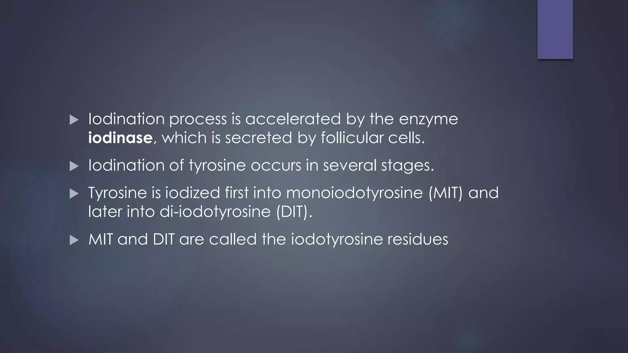 Thyroid gland (anatomy & synthesis) | PPTX