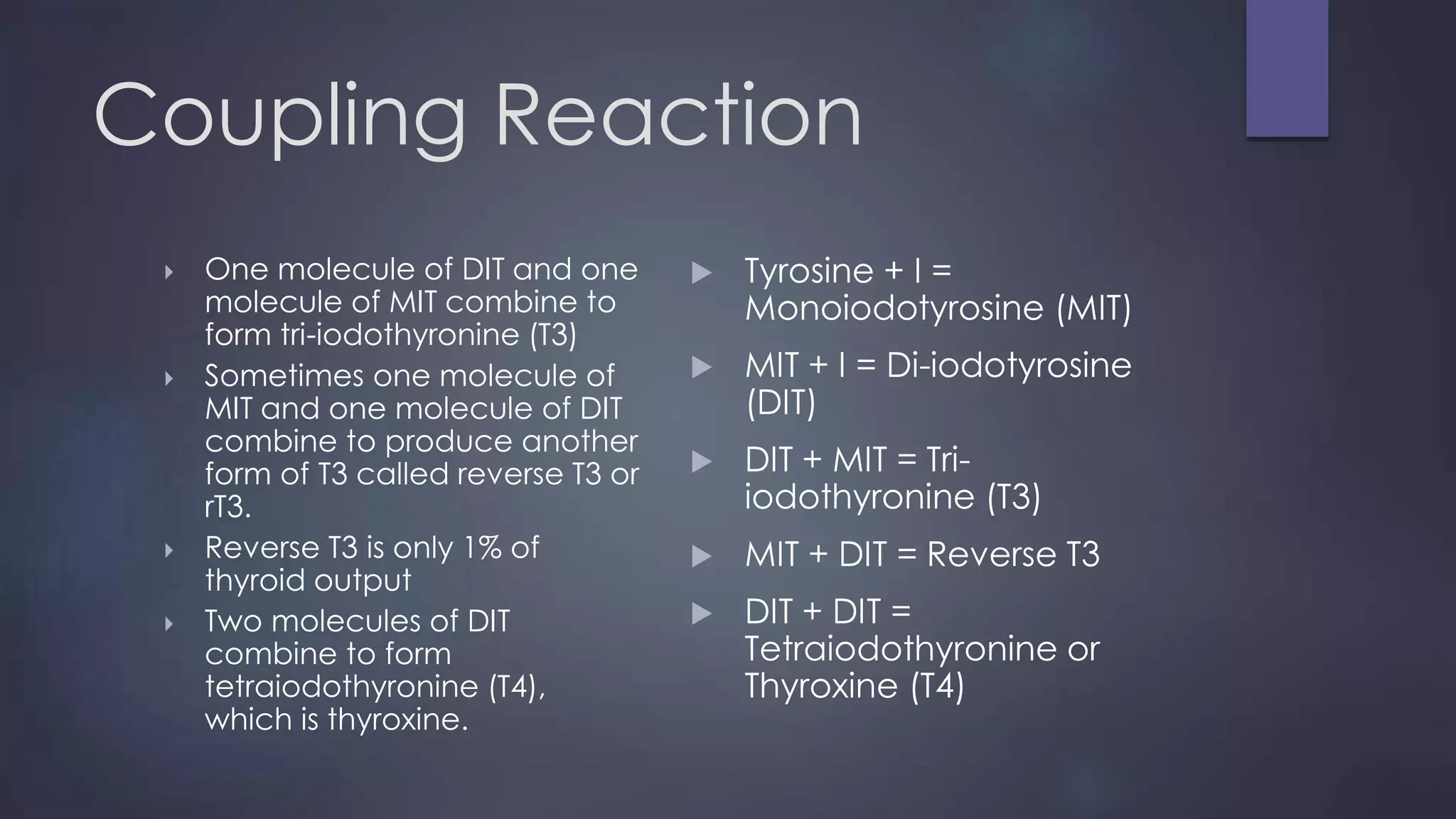 Thyroid gland (anatomy & synthesis) | PPTX