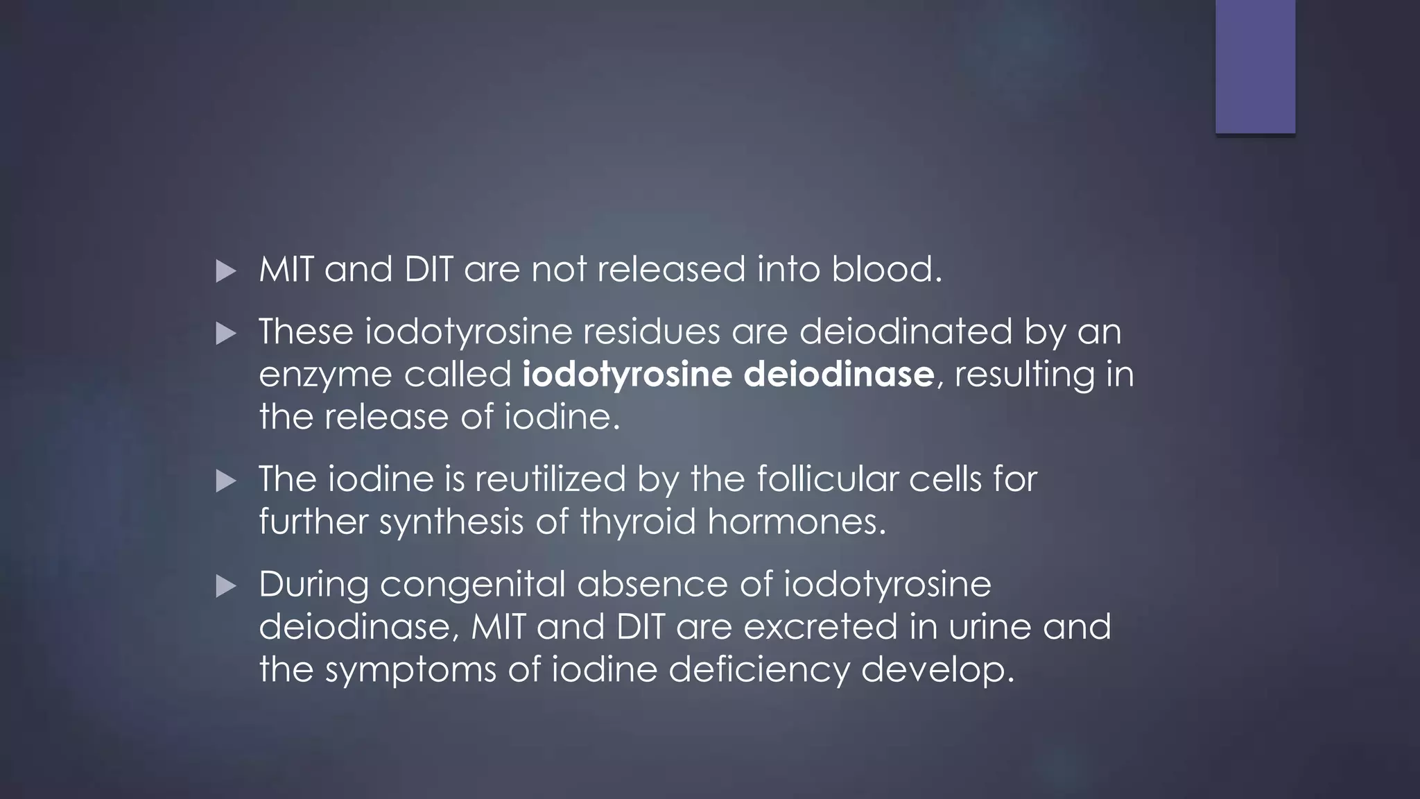 Thyroid gland (anatomy & synthesis) | PPTX