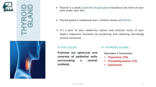 Thyroid gland and Thyroid Hormones & Inhibitors | PPT