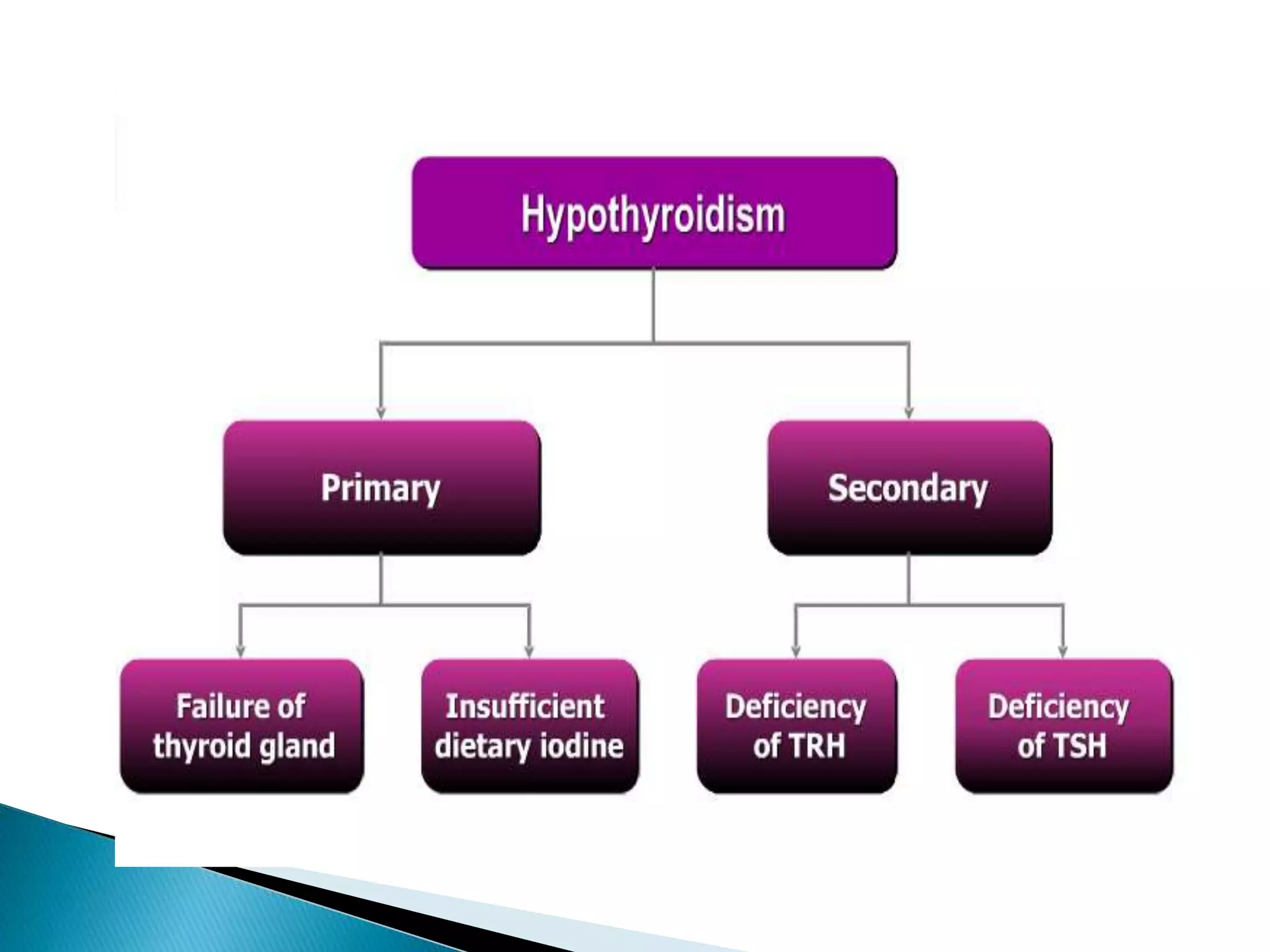 Thyroid gland disorders hyper and hypo0110017 (2) | PPTX